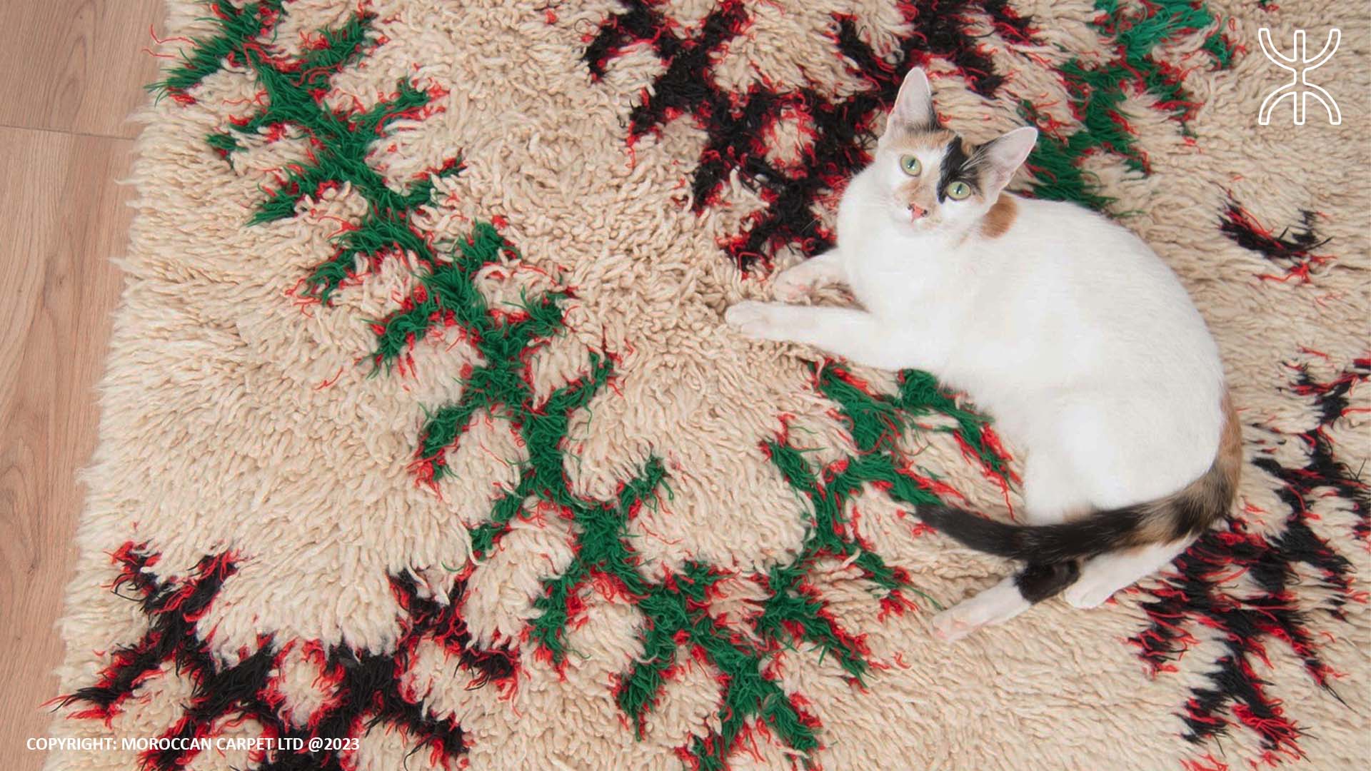 Discovering Moroccan Azilal Rugs - Moroccan Carpet