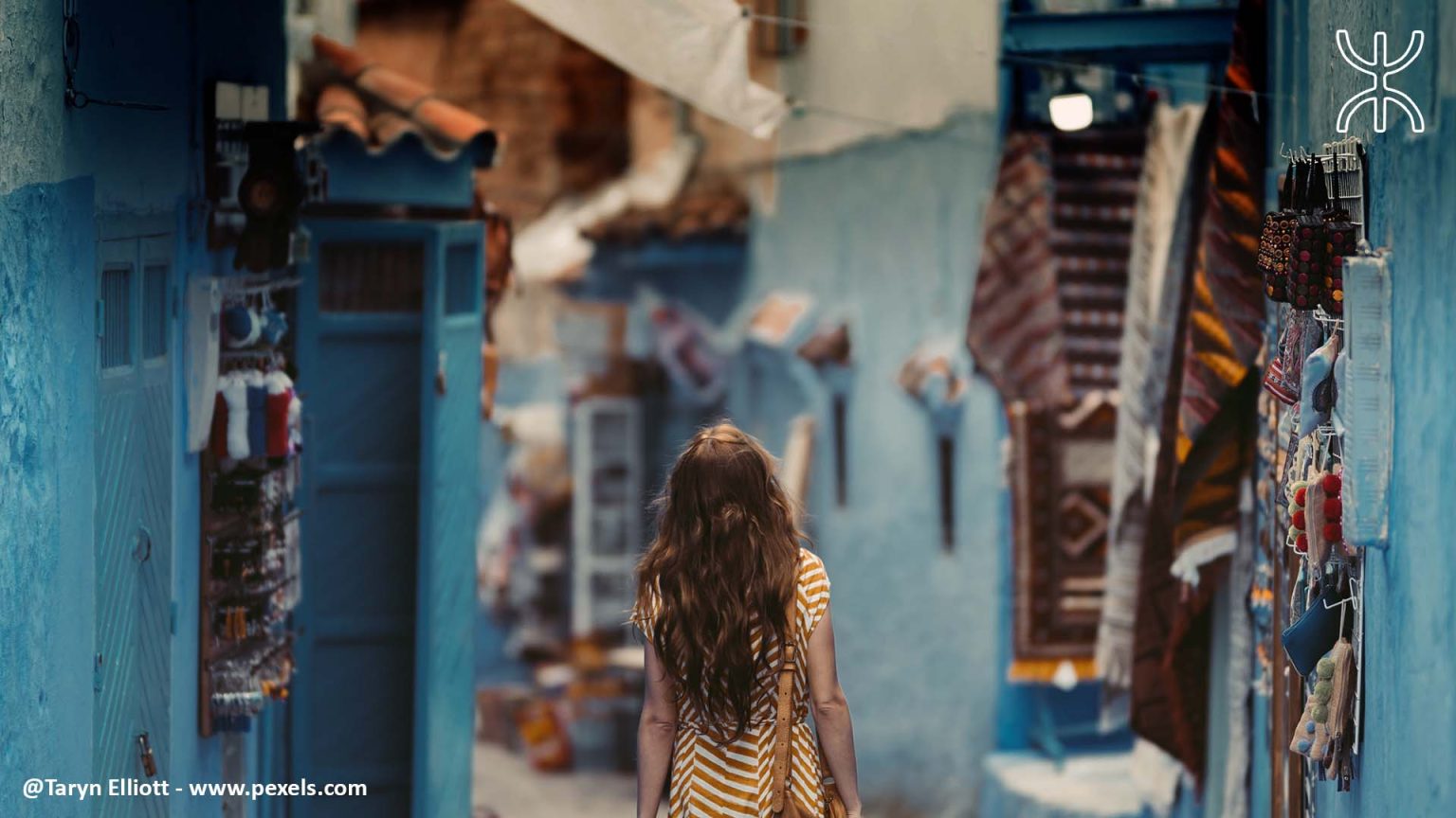 Moroccan Cactus Silk Rug: A Unique Artisanal Creation - Moroccan Carpet ...